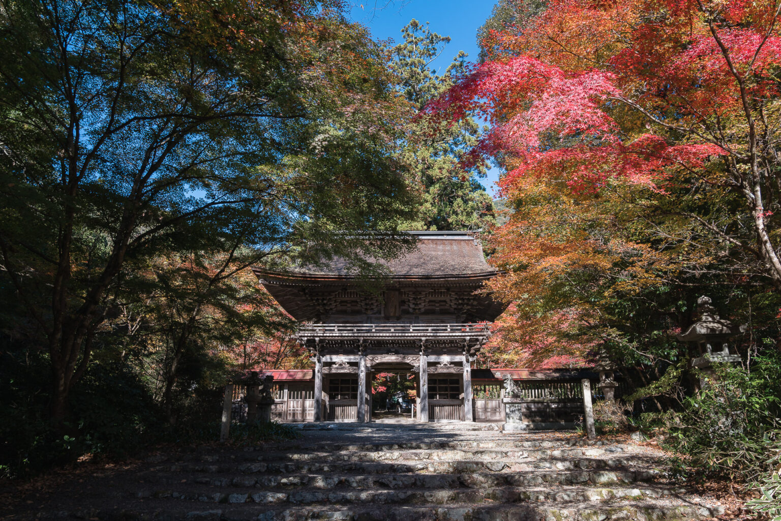 岐阜県美濃市「大矢田神社もみじ谷」へのアクセスと撮影スポット | affilabo.com